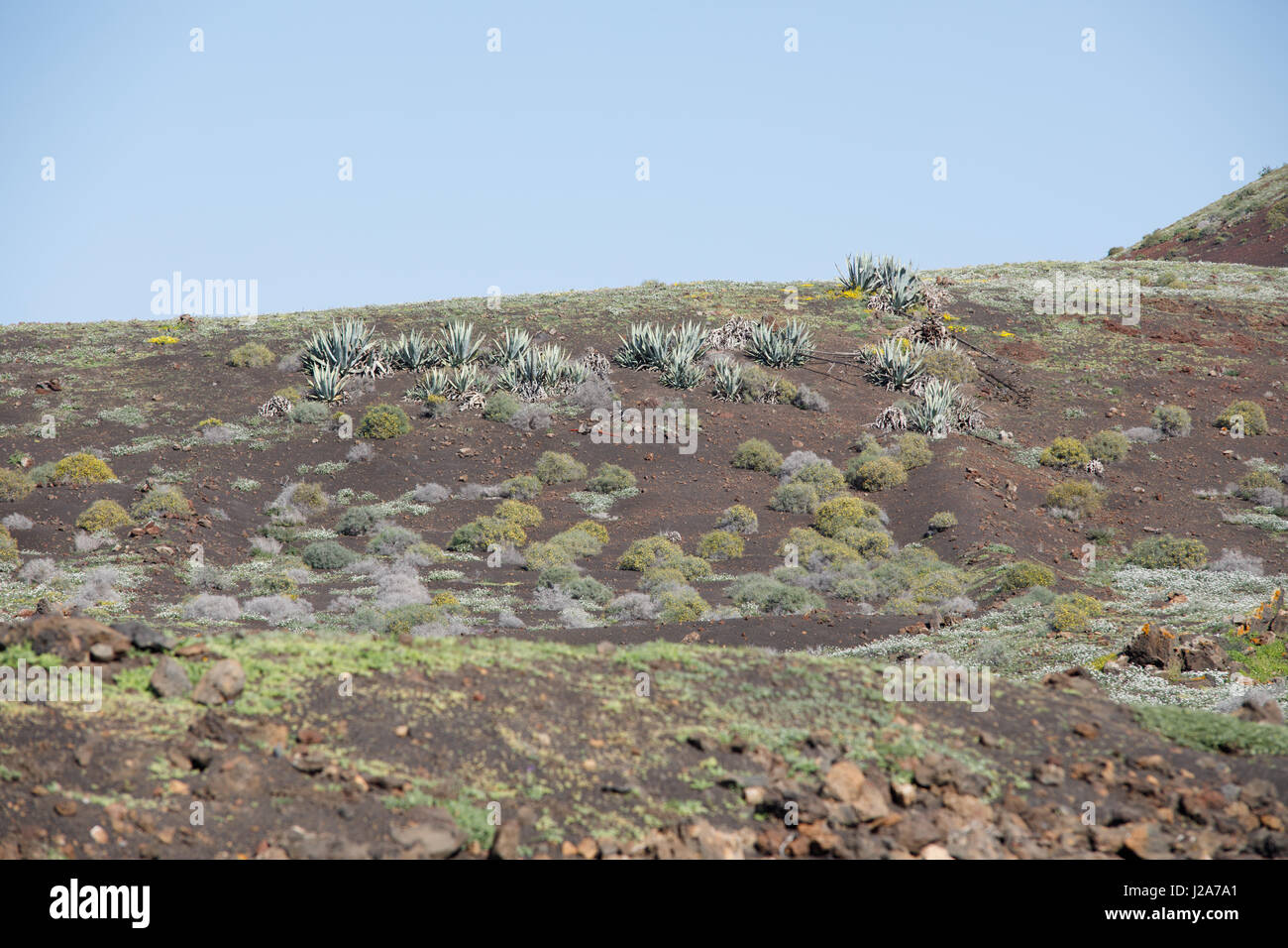 Lava landscape hi-res stock photography and images - Alamy