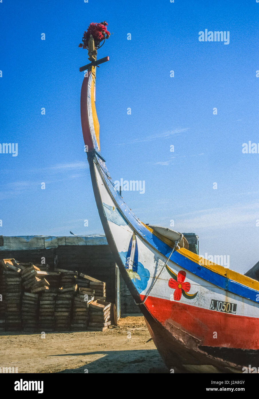 Beautifully hand-painted traditional moliceiro fishing boats along the ...