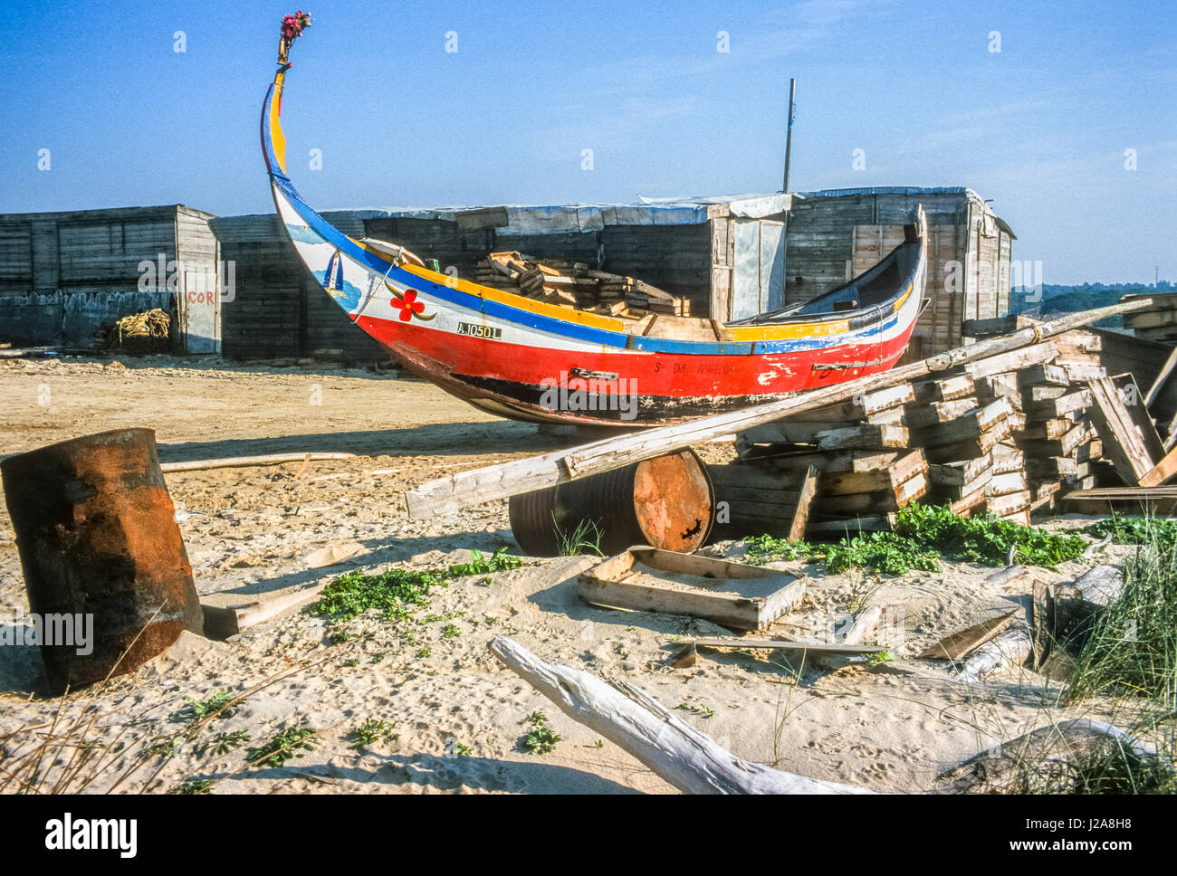 Beautifully hand-painted traditional moliceiro fishing boats along the ...