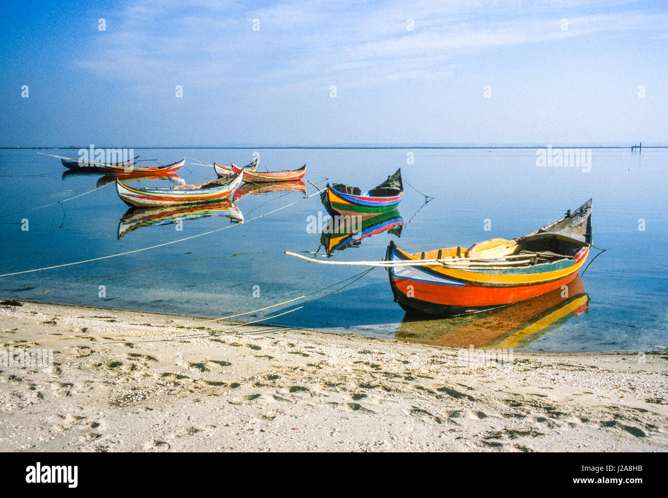 Beautifully hand-painted traditional moliceiro fishing boats along the ...