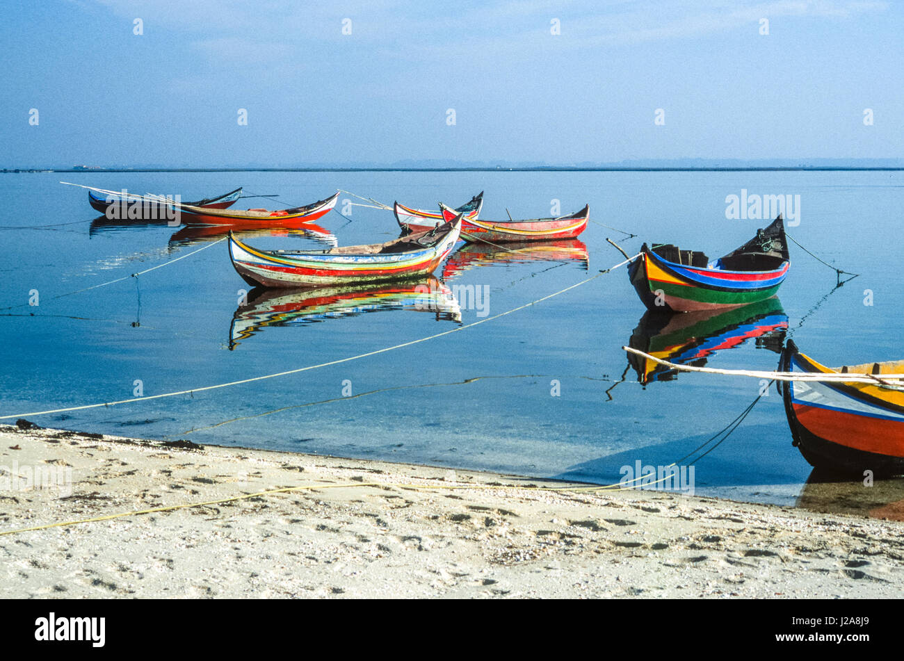 Beautifully hand-painted traditional moliceiro fishing boats along the ...