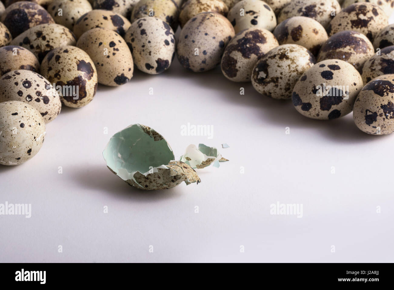 Speckle texture hi-res stock photography and images - Alamy