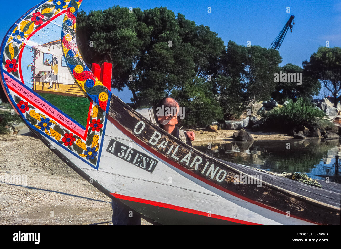 Beautifully hand-painted traditional moliceiro fishing boats along the ...