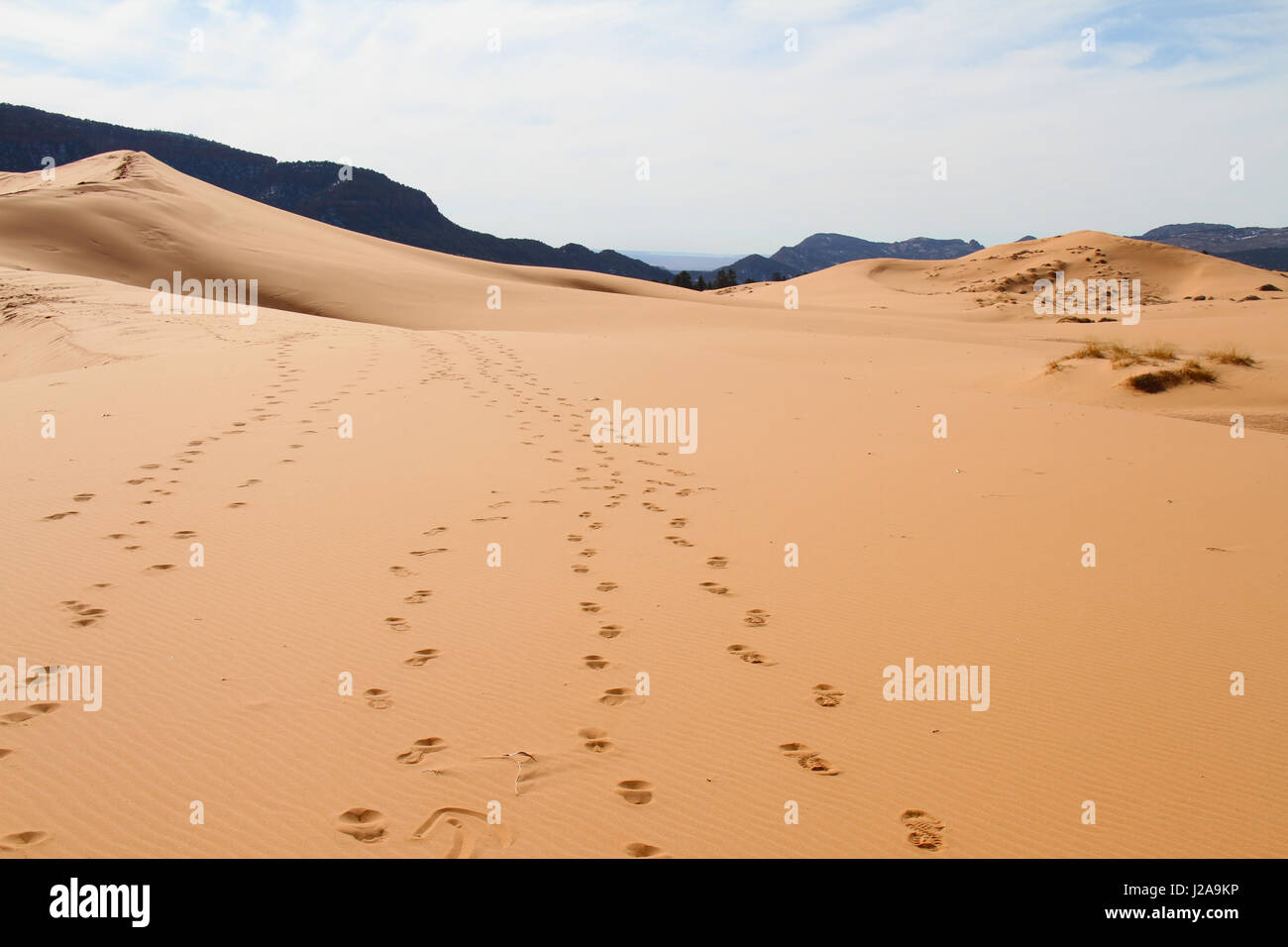 Desert footsteps hi-res stock photography and images - Alamy