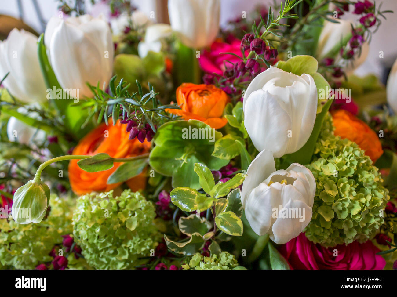 Elegant cut flowers hi-res stock photography and images - Alamy