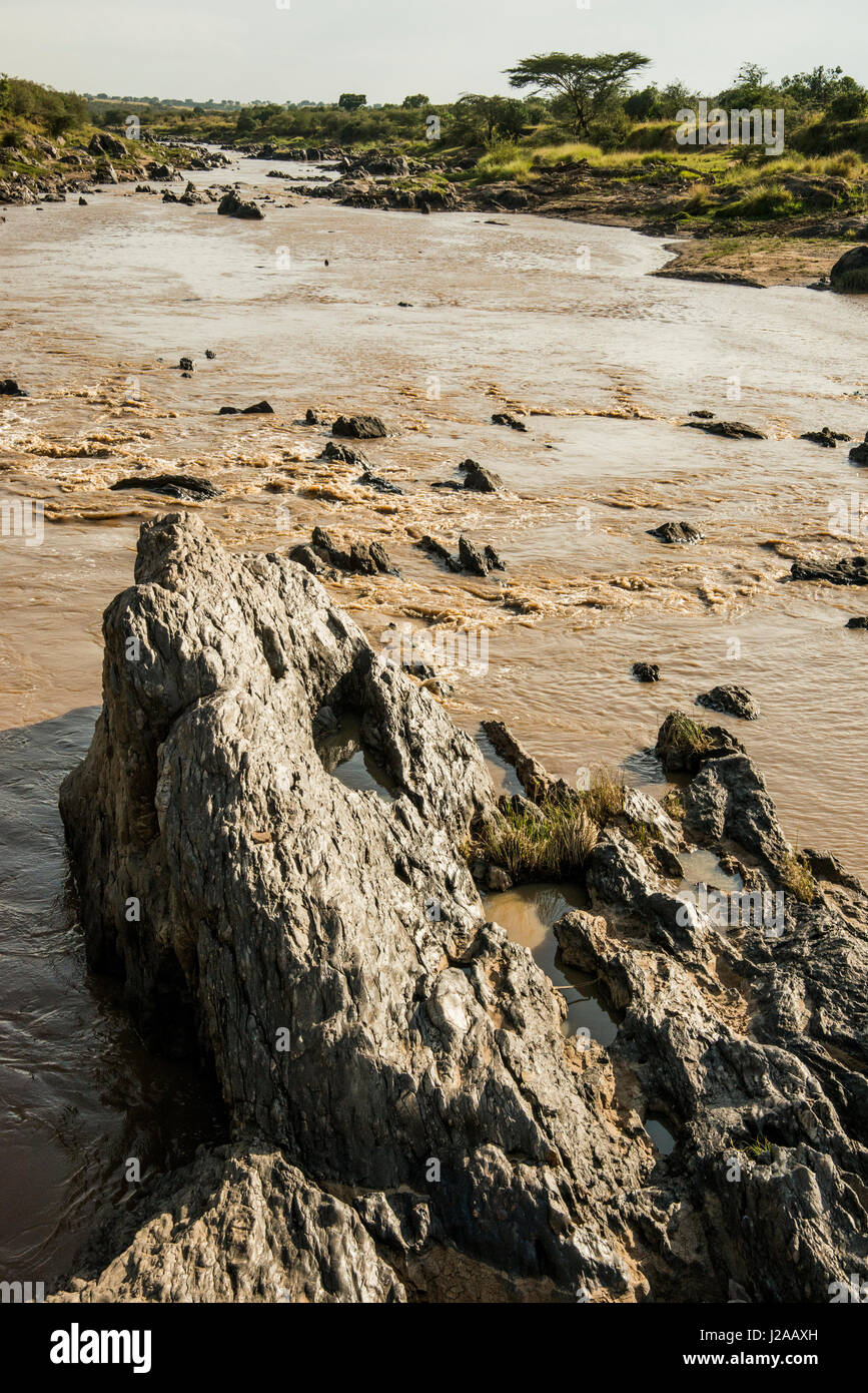 East Africa, Kenya, Maasai Mara National Reserve, Mara Conservancy ...