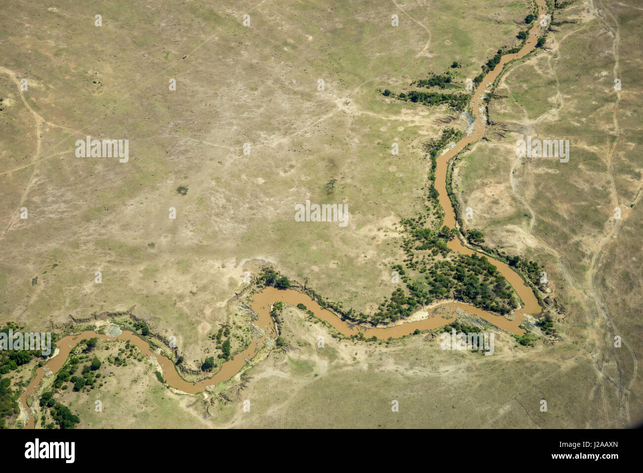 East Africa, Kenya, Caravan plane flight over Maasai Mara National ...