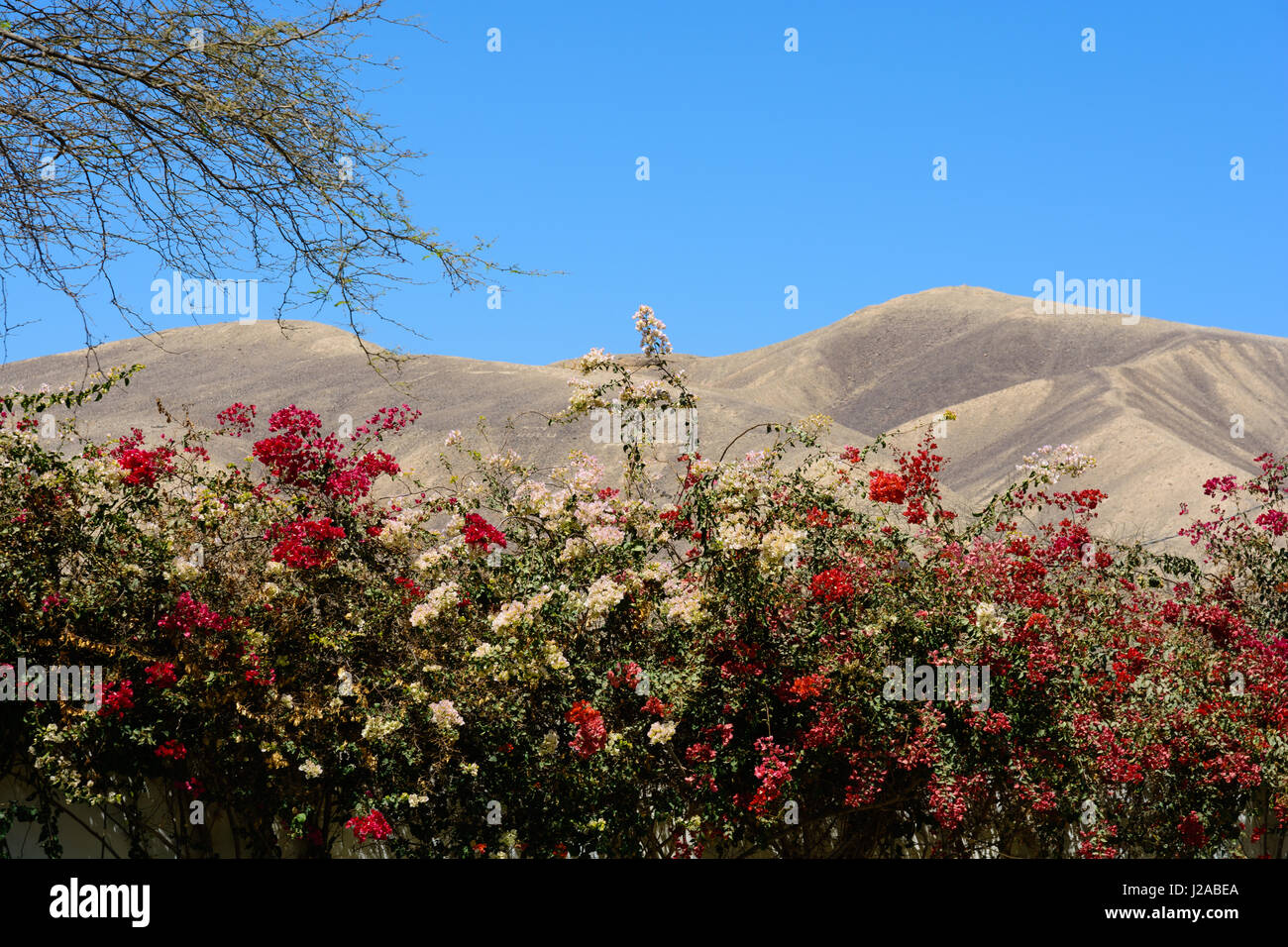 Peru, Ica, Nasca, Nazca Stock Photo - Alamy