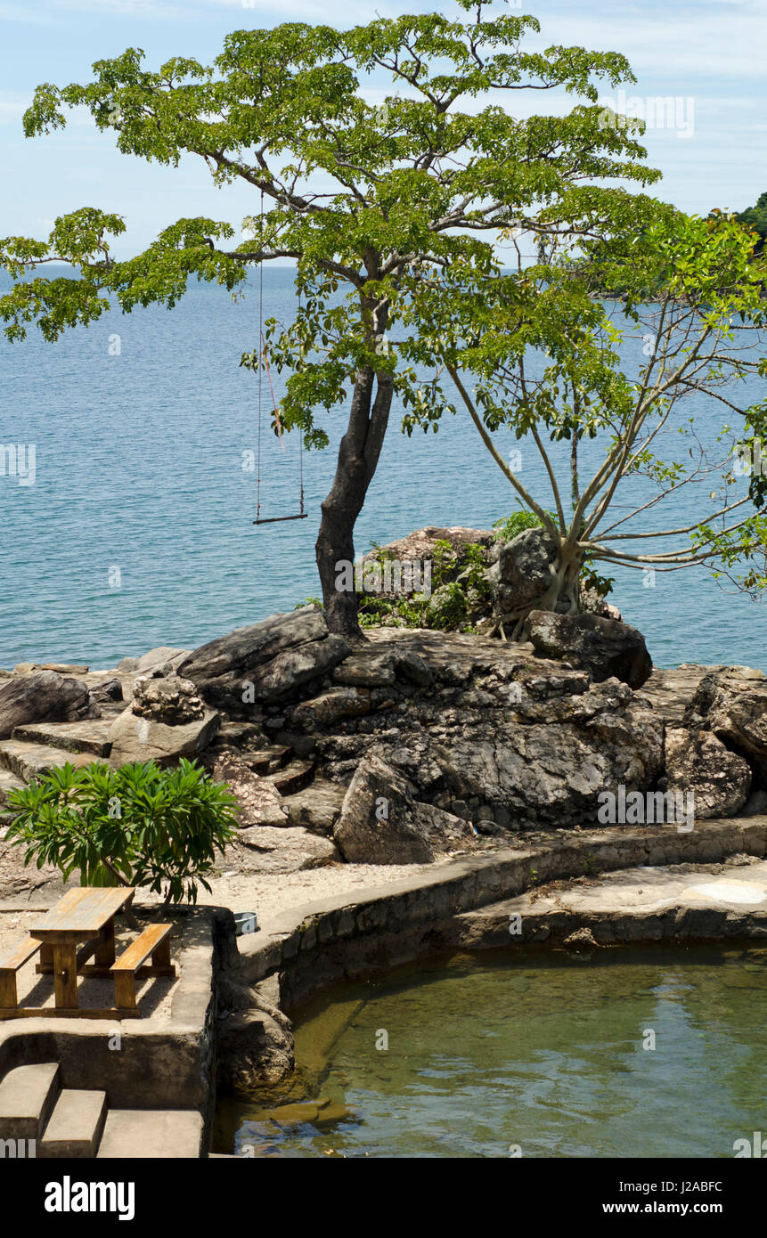 Malawi, Nkhata Bay, beautiful tree on the shore of Lake Malawi Stock ...