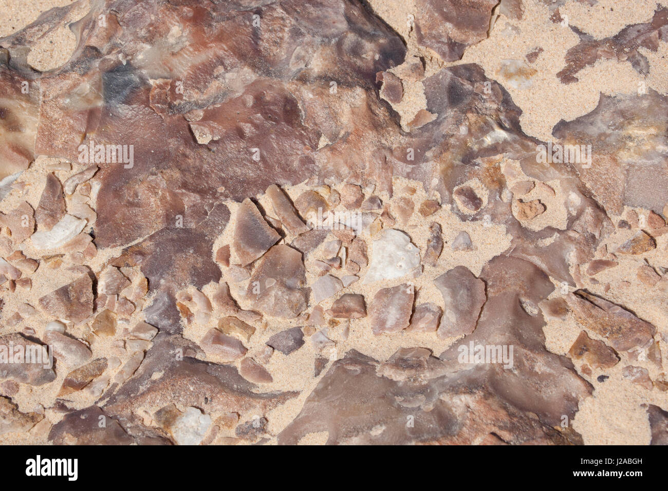 Africa, Western Sahara, Dakhla. Close-up of interesting rock types in ...
