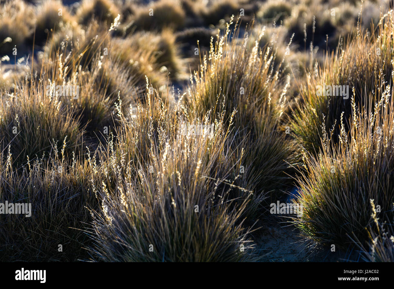 Peru, Arequipa, Ashua, From Arequipa to Cabanaconde Stock Photo - Alamy
