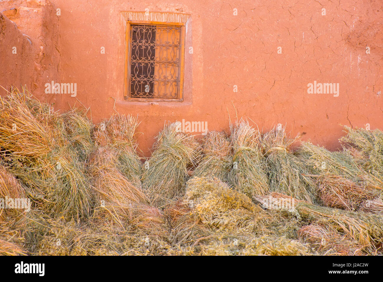 Morocco, Ouarzazate, Ait Benhaddou, a fortified city, or czar, along ...