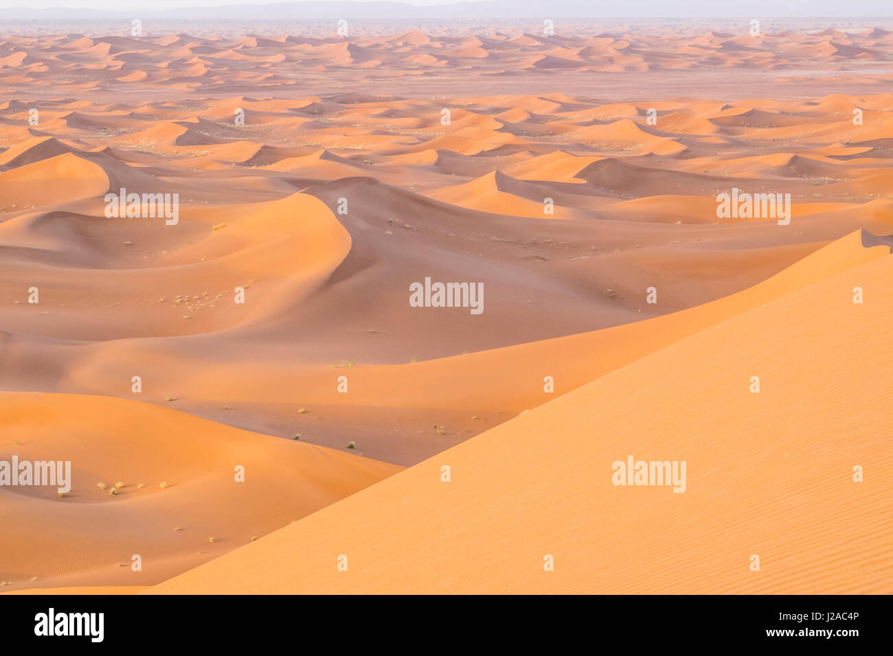 Emily height hi-res stock photography and images - Alamy