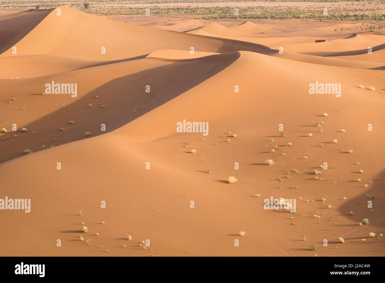 Emily height hi-res stock photography and images - Alamy