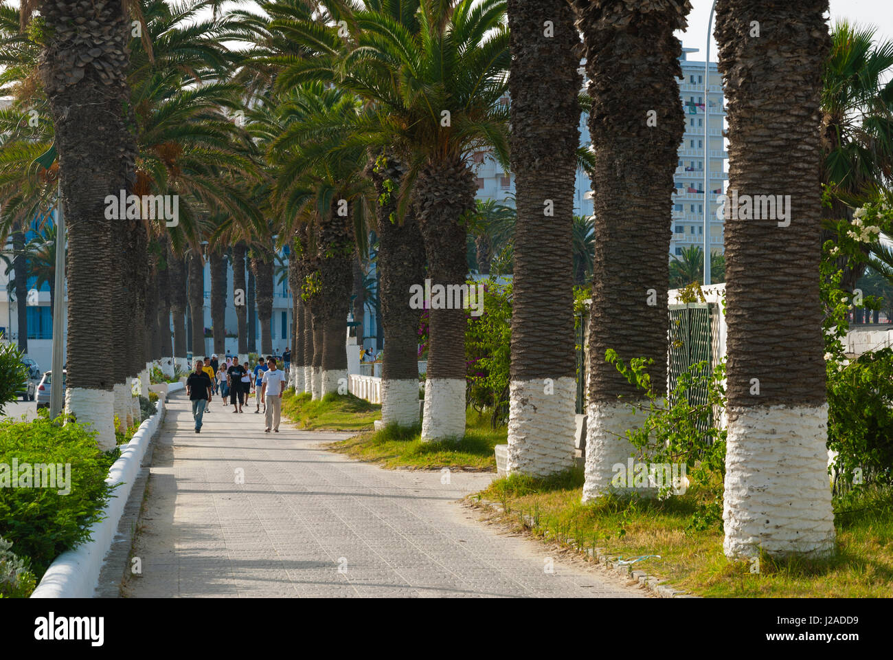 Seaside promenade, Bizerte, Tunisia, North Africa Stock Photo - Alamy