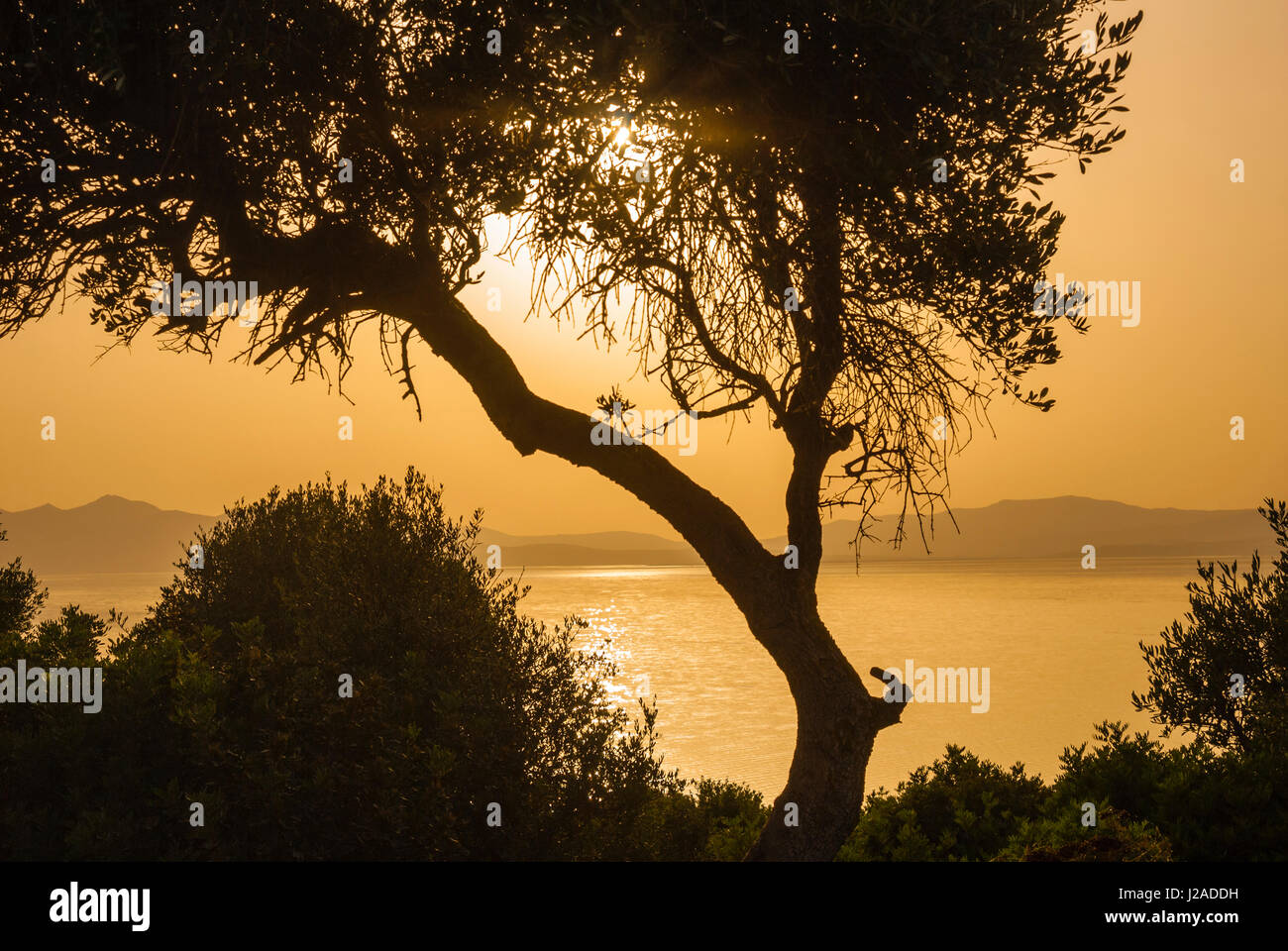 Lake Ichkeul, National Park of Ichkeul, Bizerte Province, Tunisia ...
