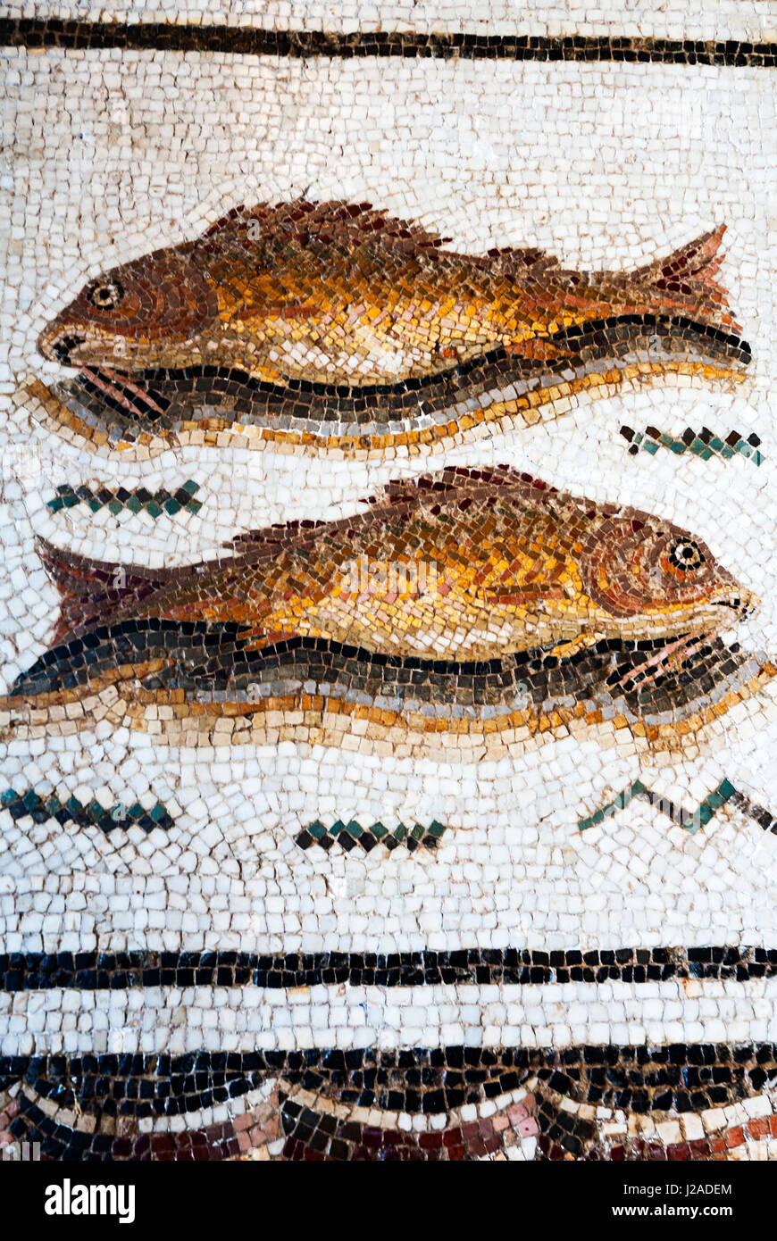 Roman mosaic fish hi-res stock photography and images - Alamy