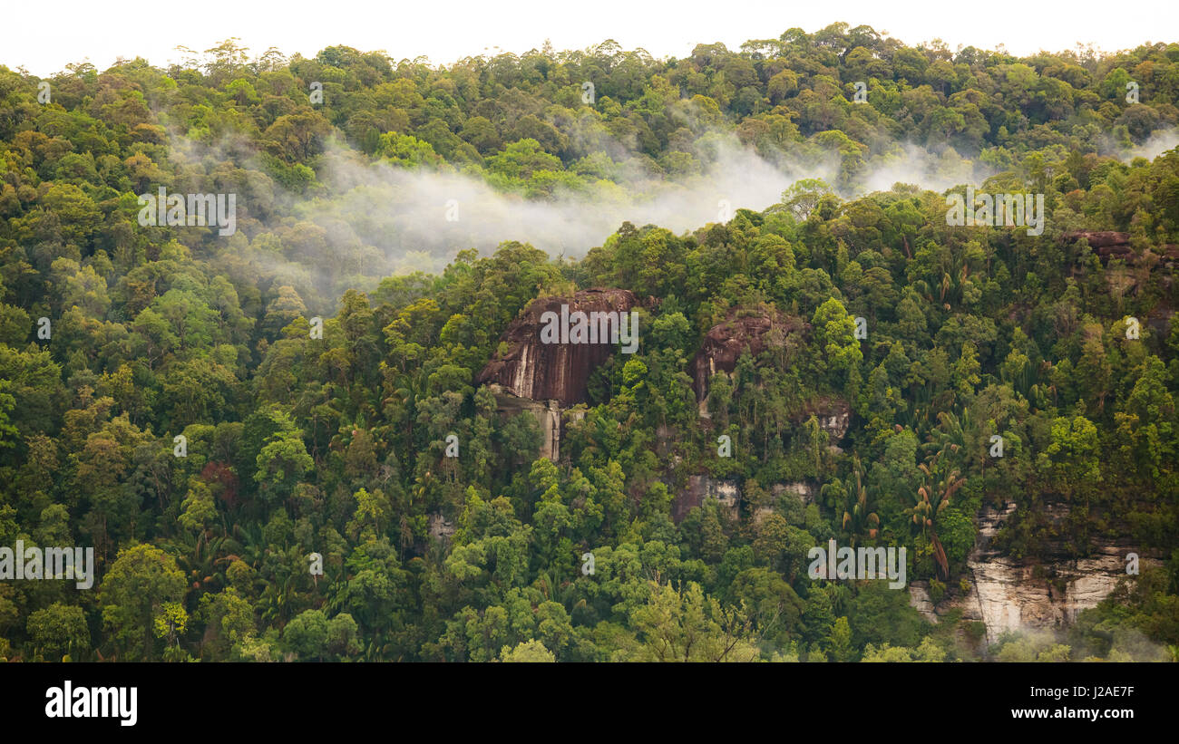 Rainforest hill view Stock Photo - Alamy