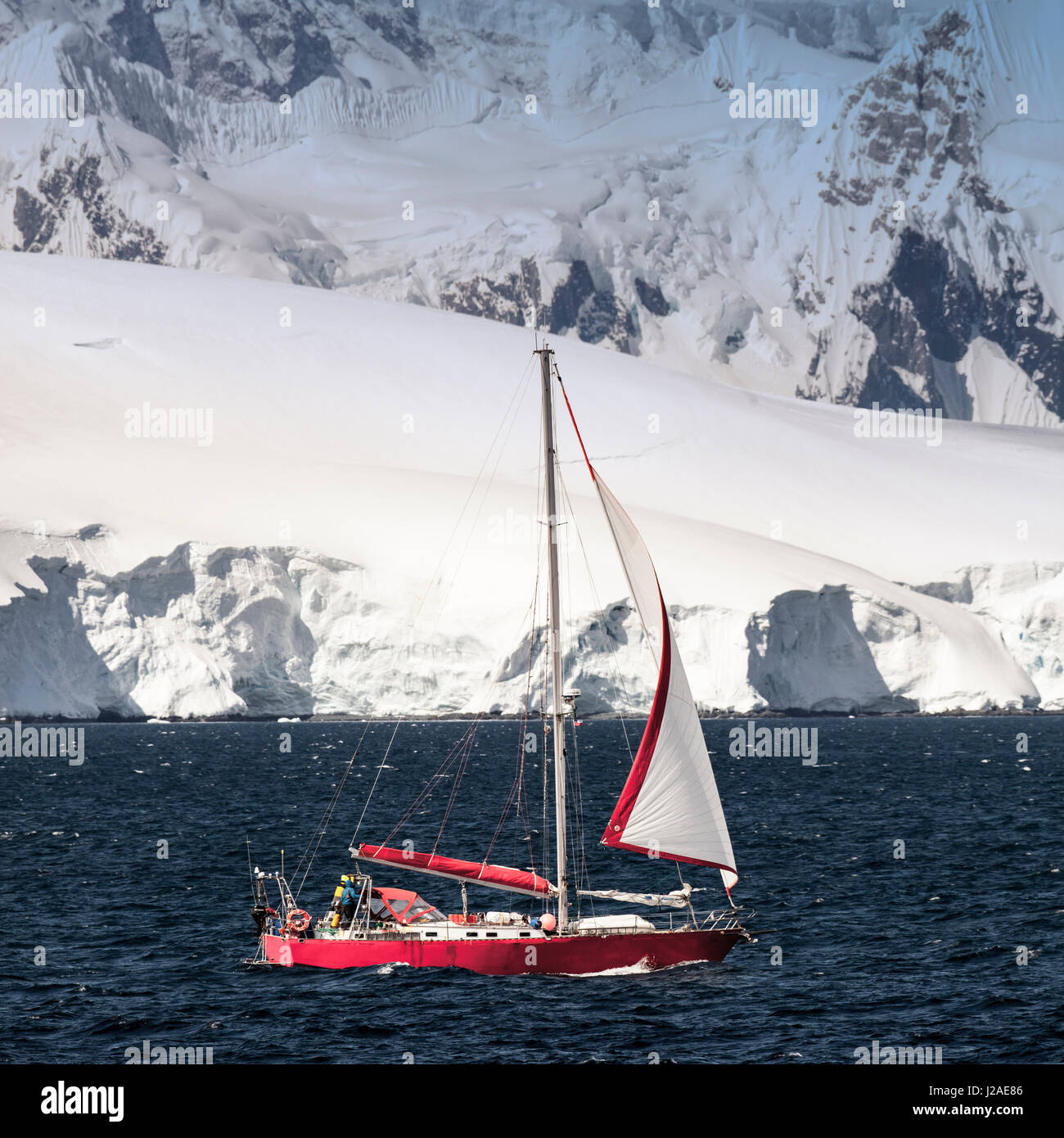 Antarctica. Sailboat cruising by a glacier Stock Photo - Alamy