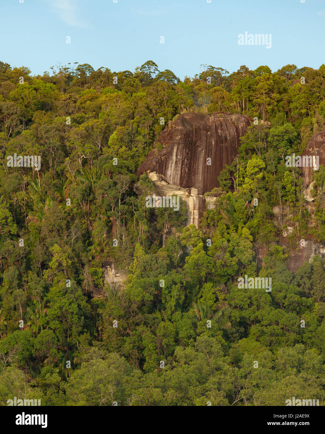 Rainforest hill view Stock Photo - Alamy