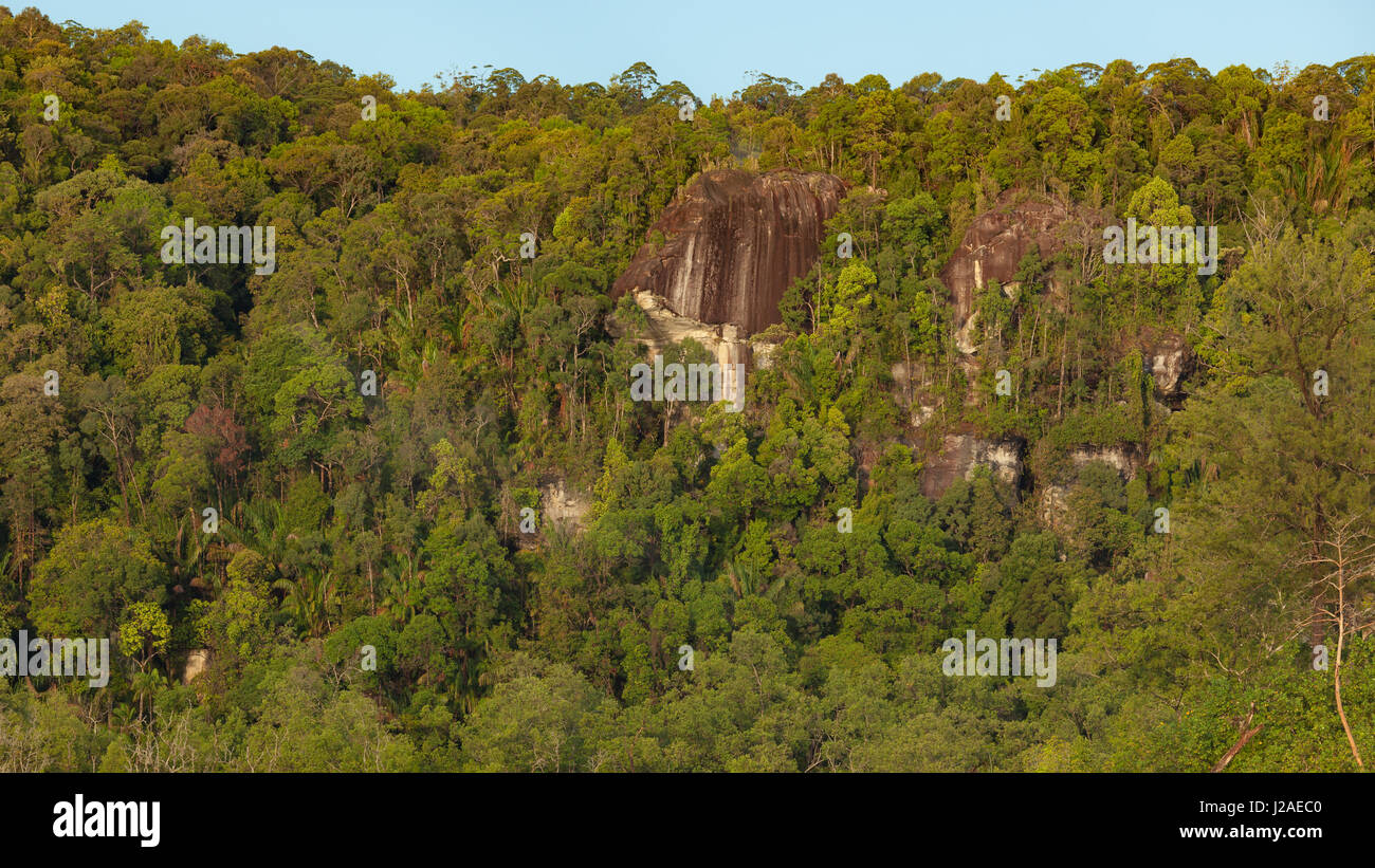 Rainforest hill view Stock Photo - Alamy