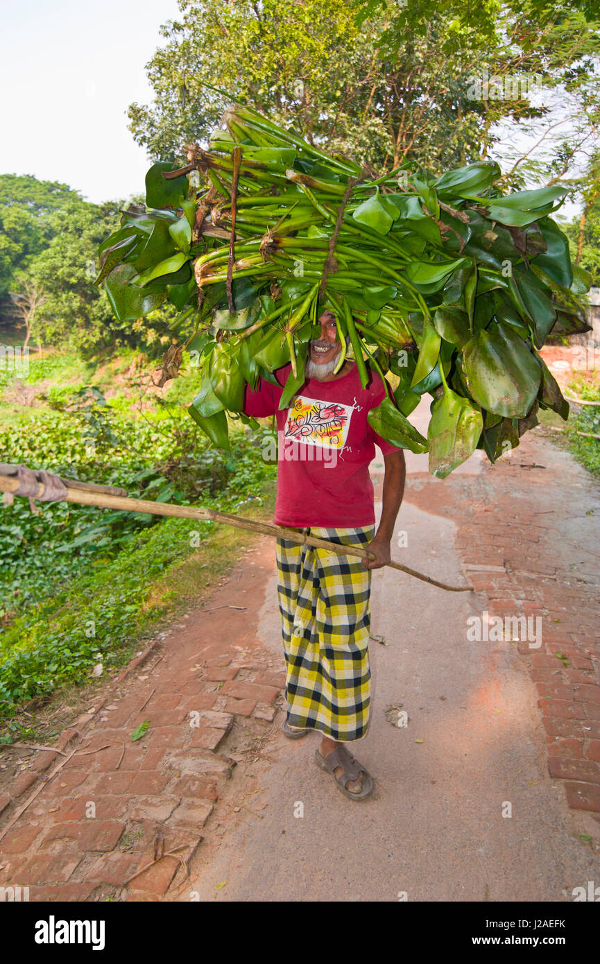 Fully loaded man on his way home, Sonargaon, Bangladesh, Asia Stock ...