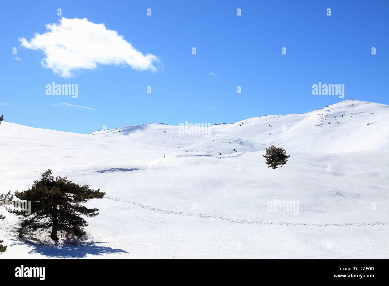 Massif du cheiron hi-res stock photography and images - Alamy