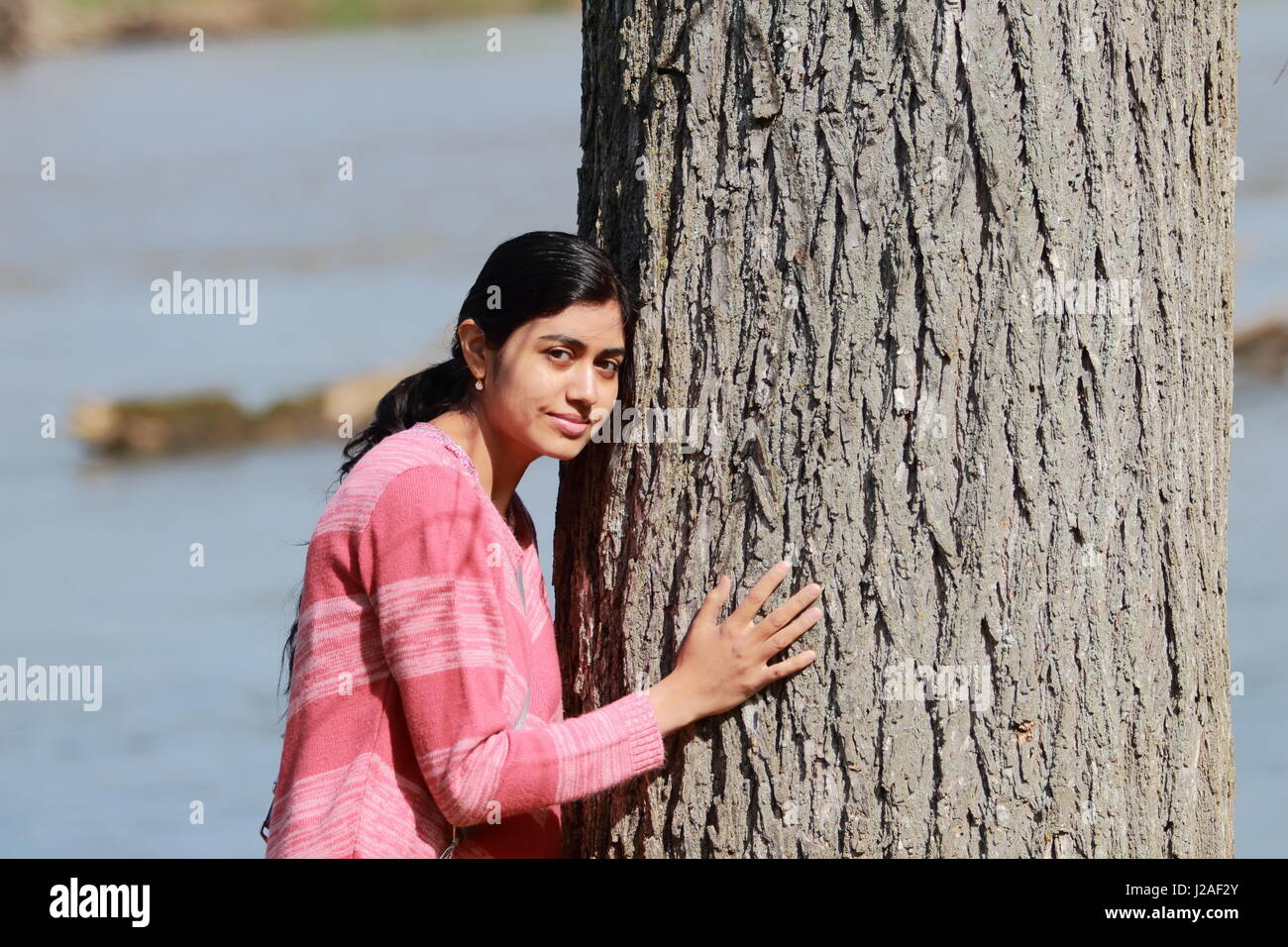 Ode to a tree Stock Photo - Alamy