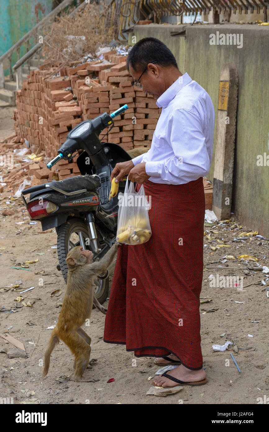 Myanmar (Burma), Mandalay Region, Myingyan, Mt. Popa Shrine. The shrine ...