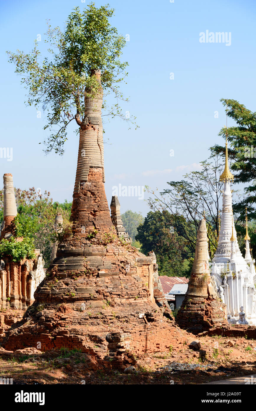 Myanmar (Burma), Shan, Taunggyi, ruins pagodas in Indein Stock Photo ...
