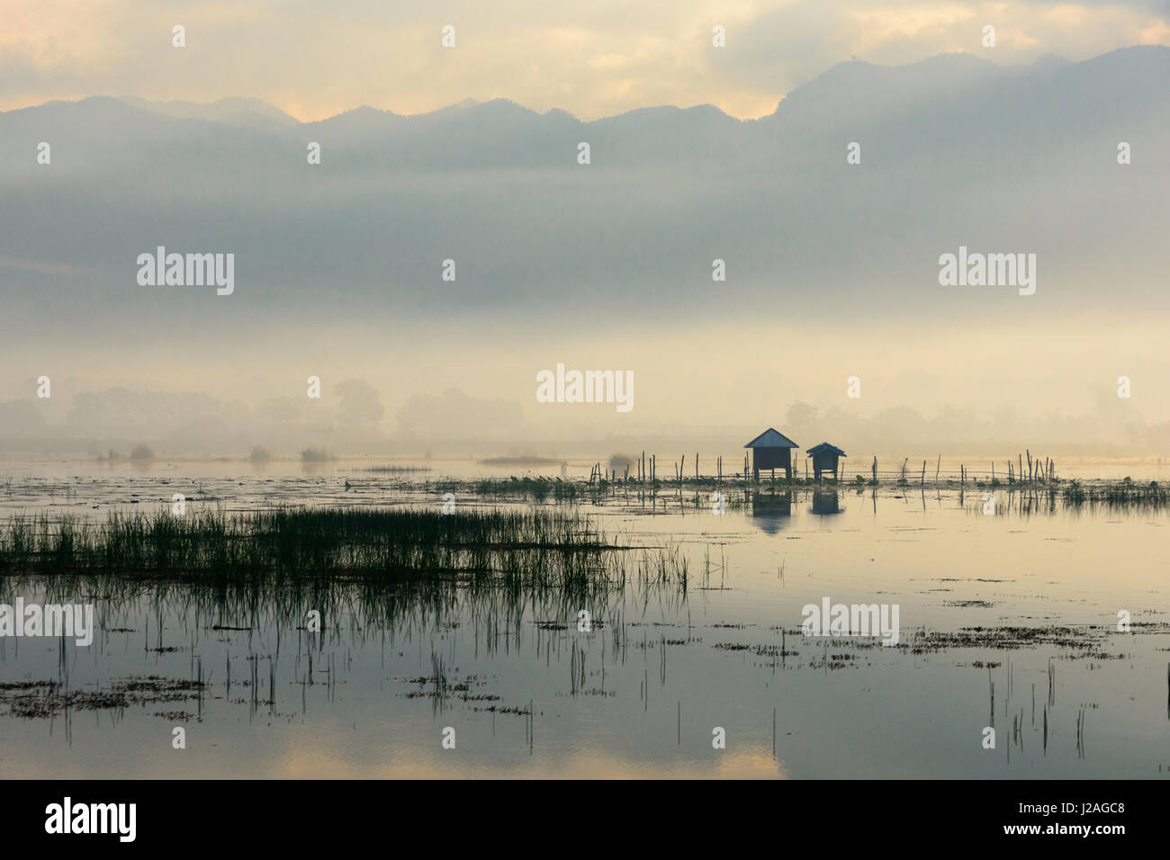 Myanmar (Burma), Shan, Taunggyi, boat trip on the Inle Lake Stock Photo ...