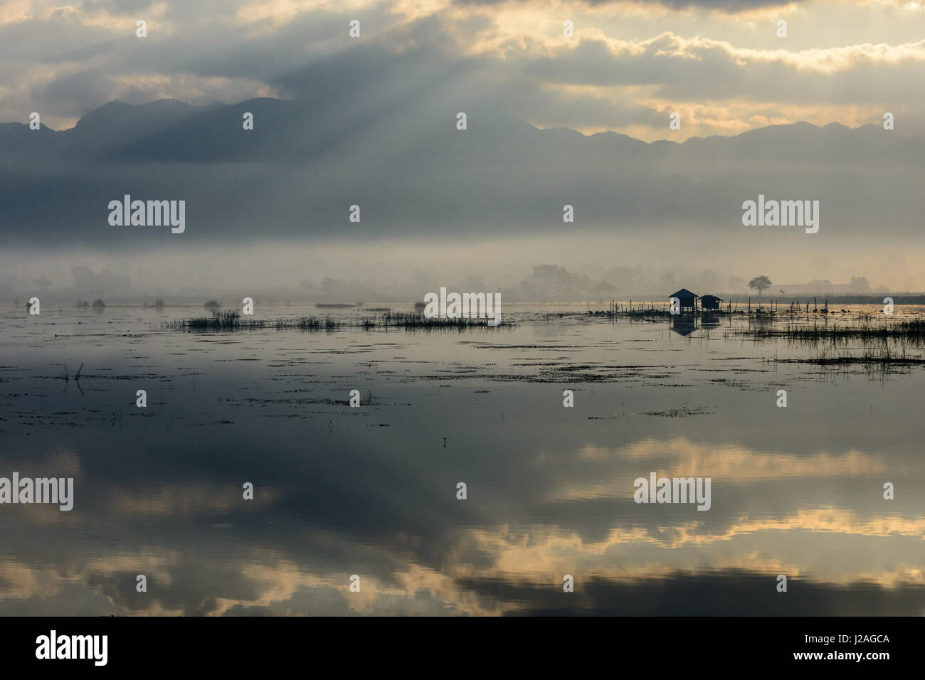Myanmar (Burma), Shan, Taunggyi, boat trip on the Inle Lake Stock Photo ...
