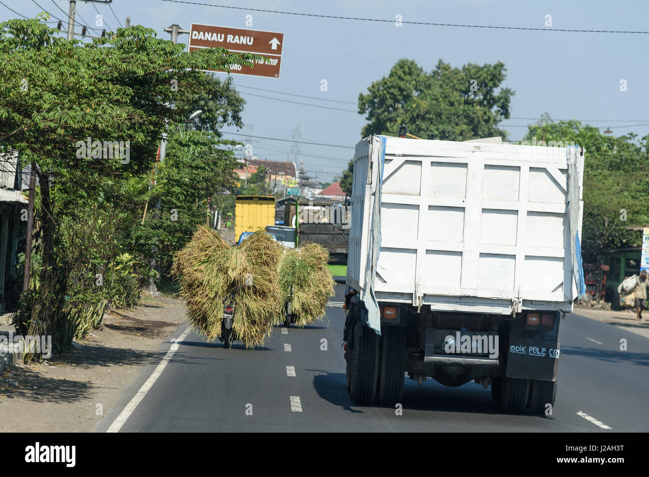 Java road hi-res stock photography and images - Alamy