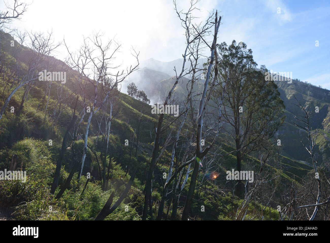 Indonesia, Java Timur, Kabudaten Bondowoso, volcanic crater Ijen Stock ...
