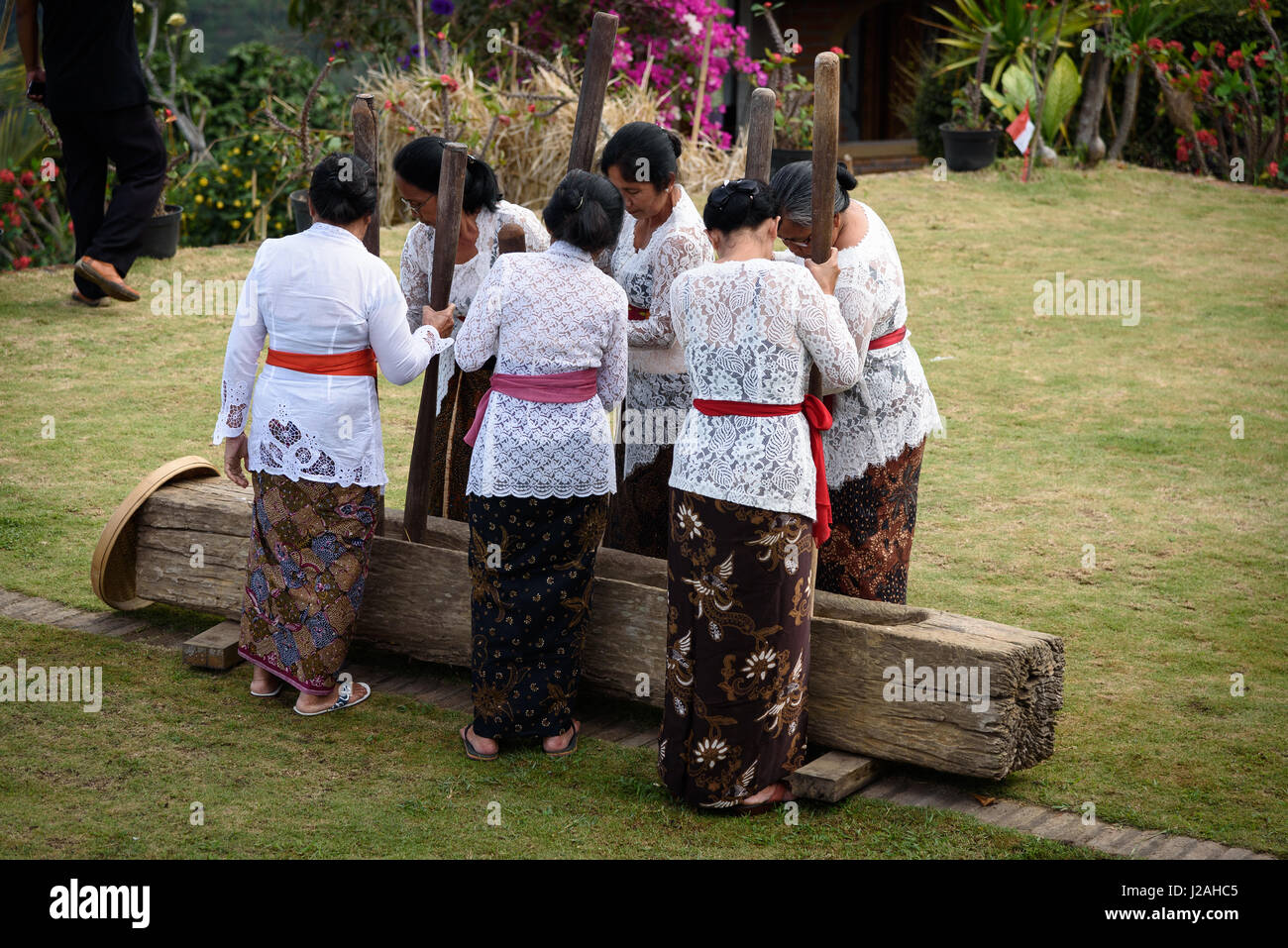 Indonesia, Bali, Kabul Buleleng, Rice Fighting Competition Stock Photo ...