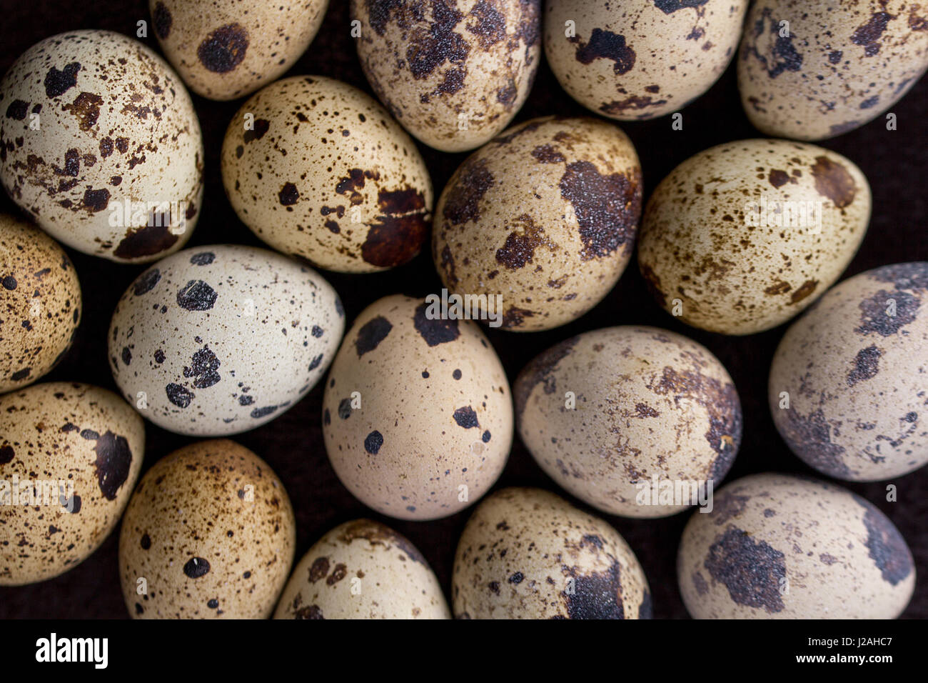 Quail eggs texture. Many quail eggs. Texture for easter Stock Photo - Alamy