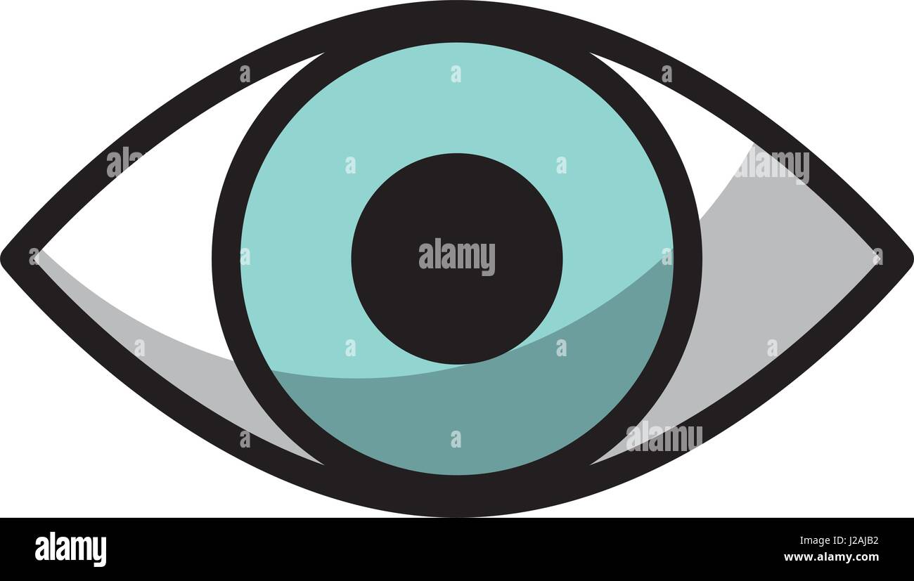 human eye view isolated icon Stock Vector Image & Art - Alamy