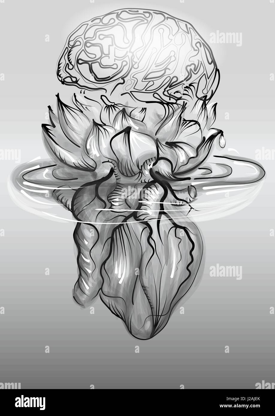 Human heart and brain in lotus flower Stock Vector Image & Art - Alamy