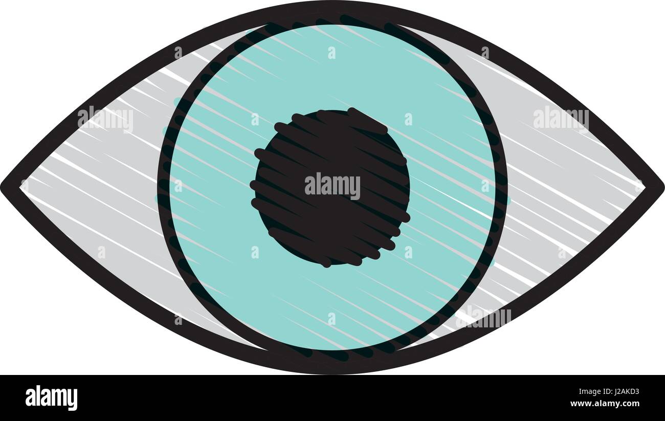 human eye view isolated icon Stock Vector Image & Art - Alamy