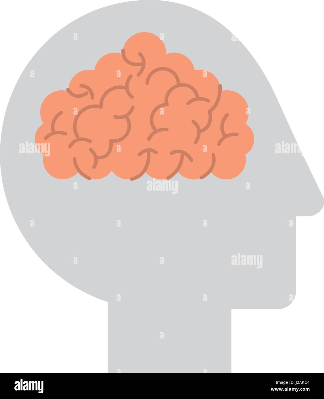 human head profile with brain Stock Vector Image & Art - Alamy