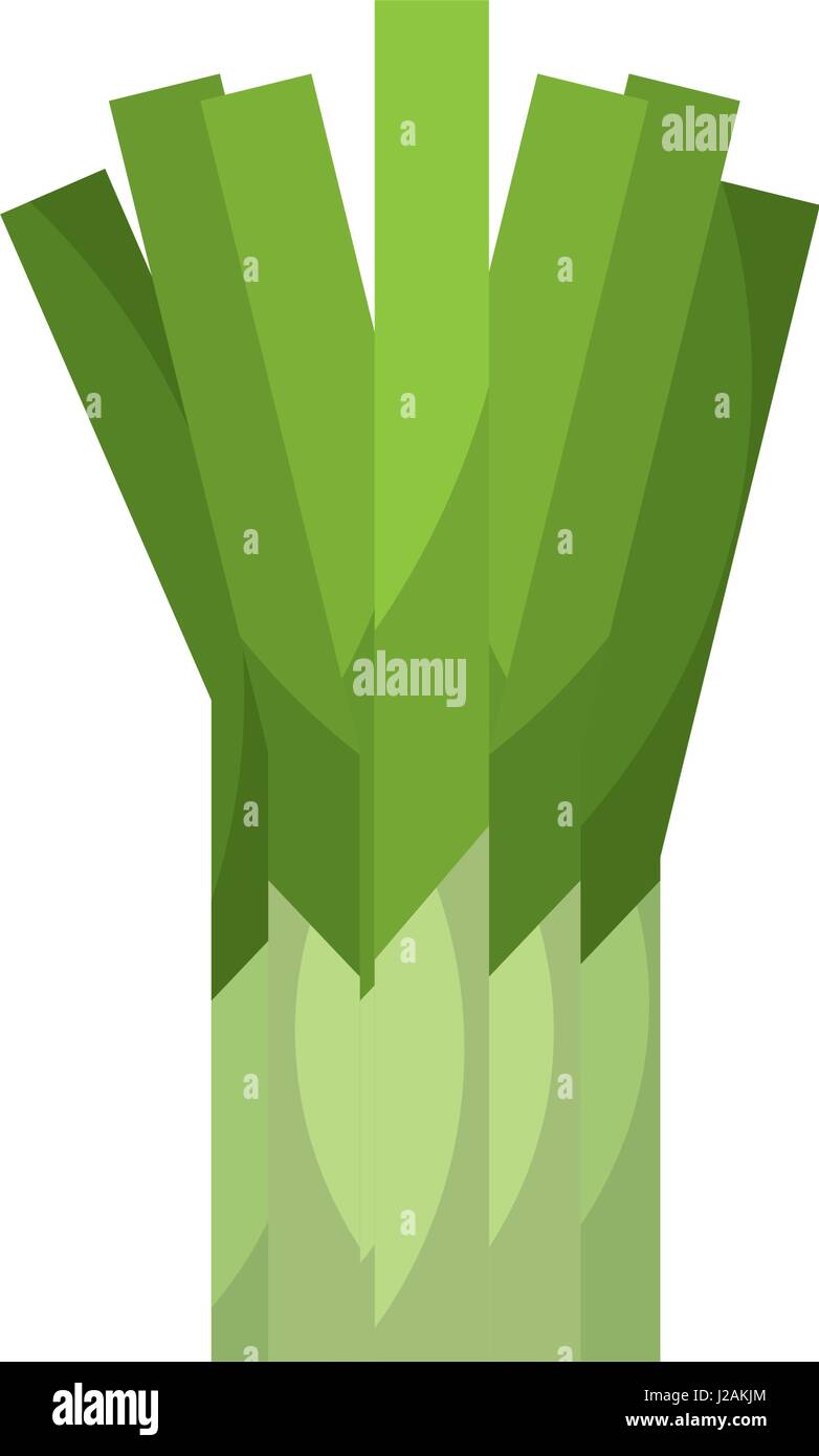 Quality onion Stock Vector Images - Alamy