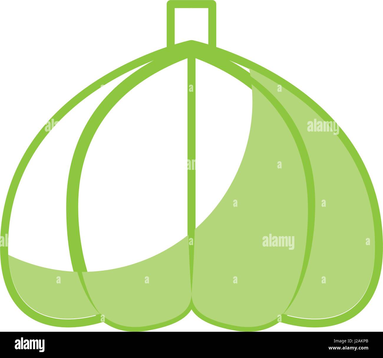 garlic fresh vegetable icon Stock Vector Image & Art - Alamy