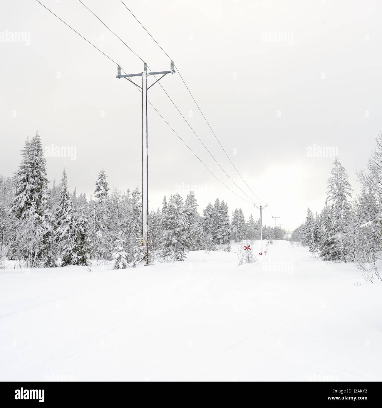 Route marker through arctic winter landscape Stock Photo - Alamy