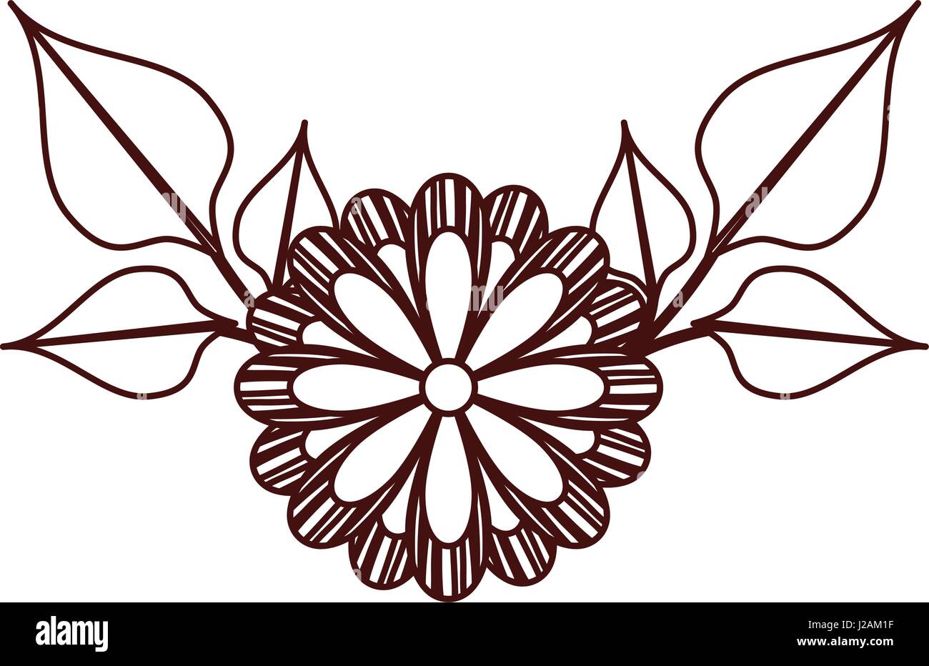 beautiful flower decorative icon Stock Vector Image & Art - Alamy