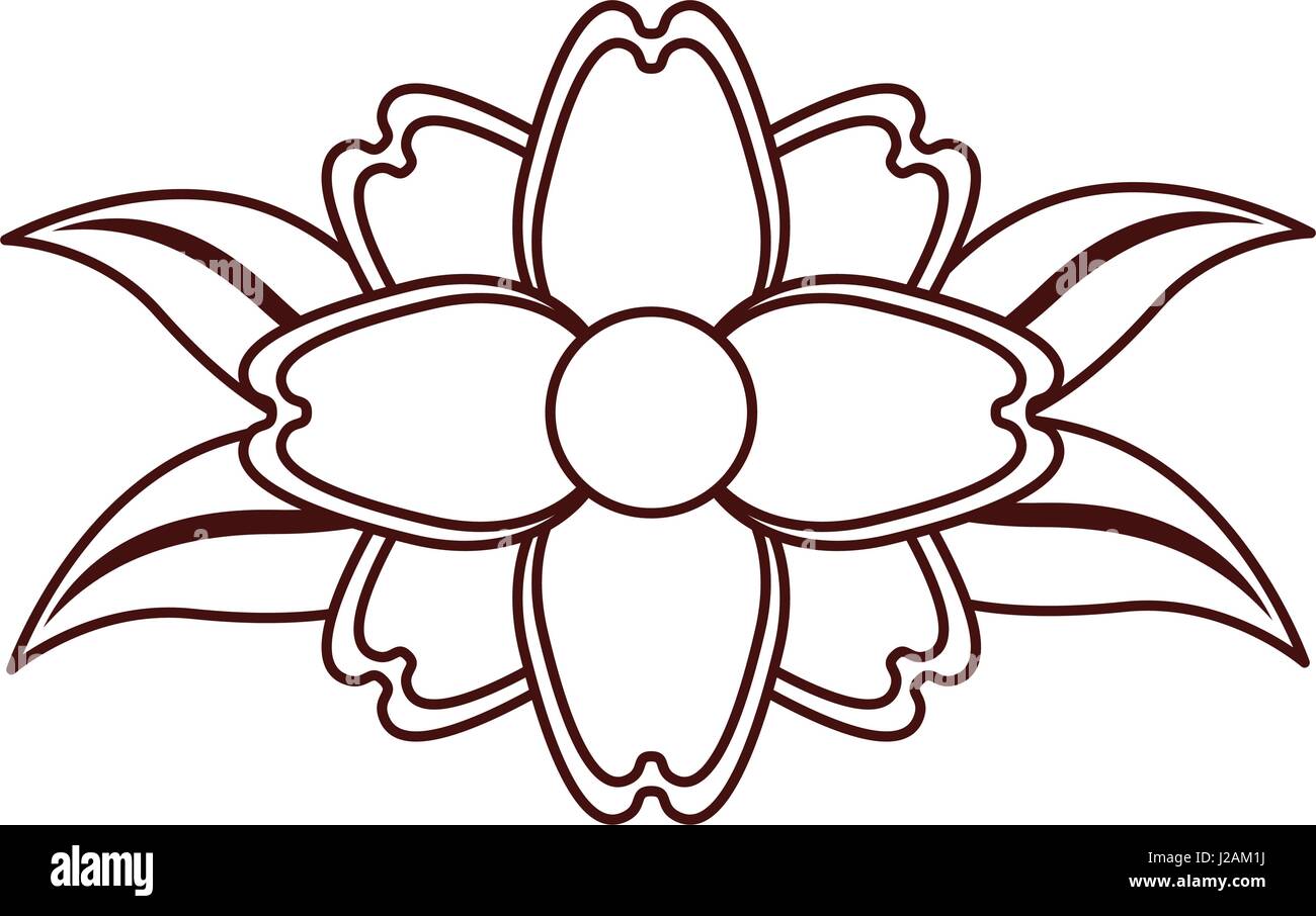 beautiful flower decorative icon Stock Vector Image & Art - Alamy