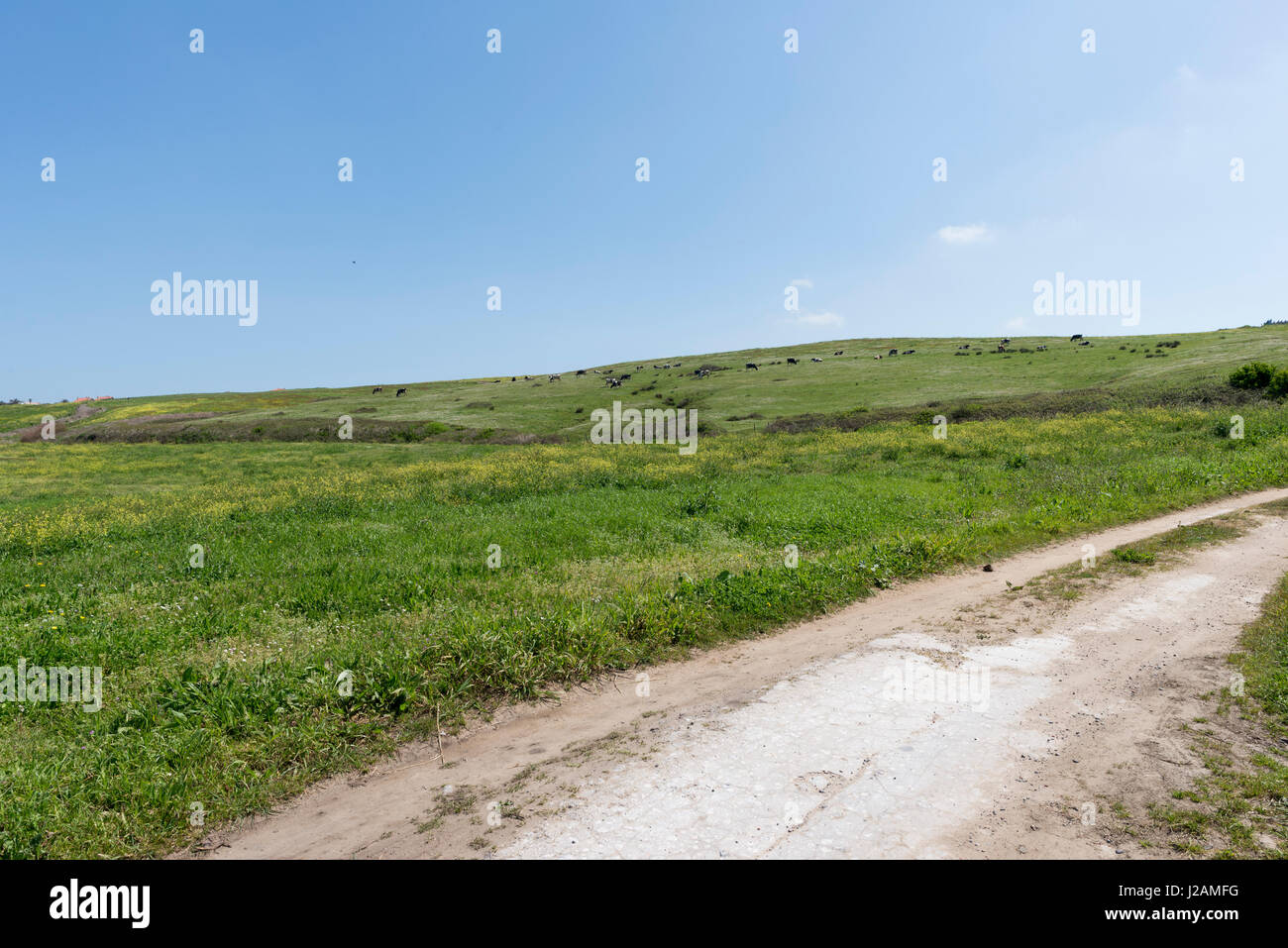Walking through the municipality of Ajo in Cantabria Stock Photo - Alamy