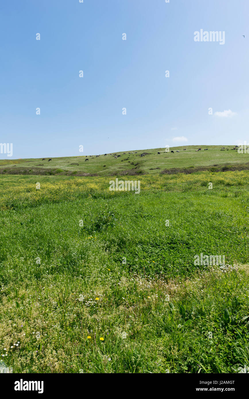 Walking through the municipality of Ajo in Cantabria Stock Photo - Alamy