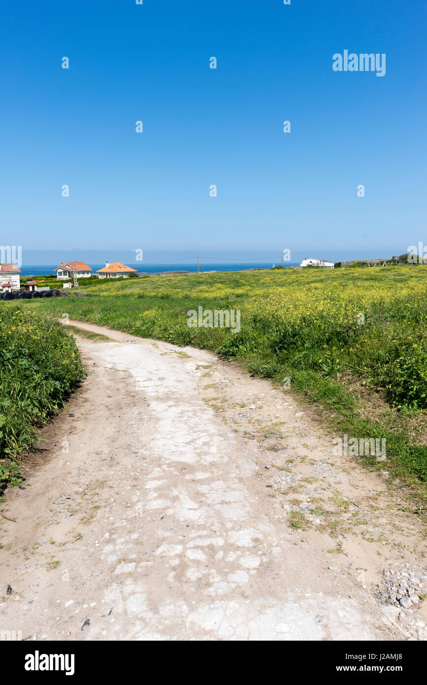 Walking through the municipality of Ajo in Cantabria Stock Photo - Alamy
