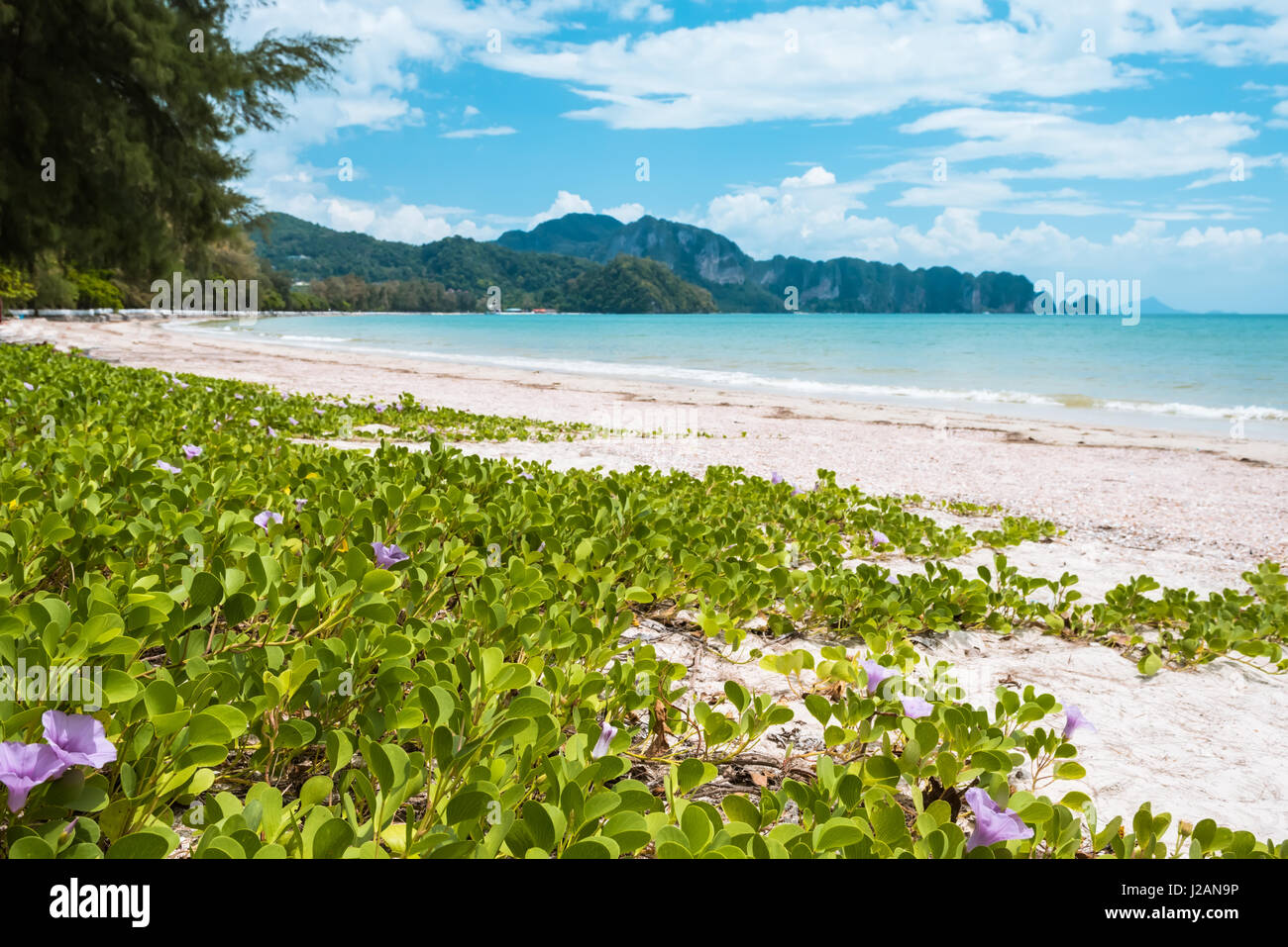 Railay beach in Krabi, Thailand Stock Photo - Alamy