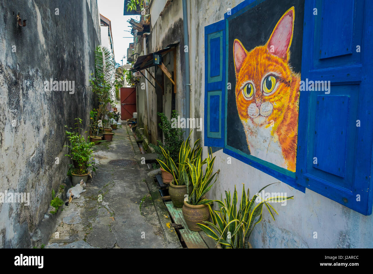 Real cat and a colorful street art graffiti cat in George Town city ...